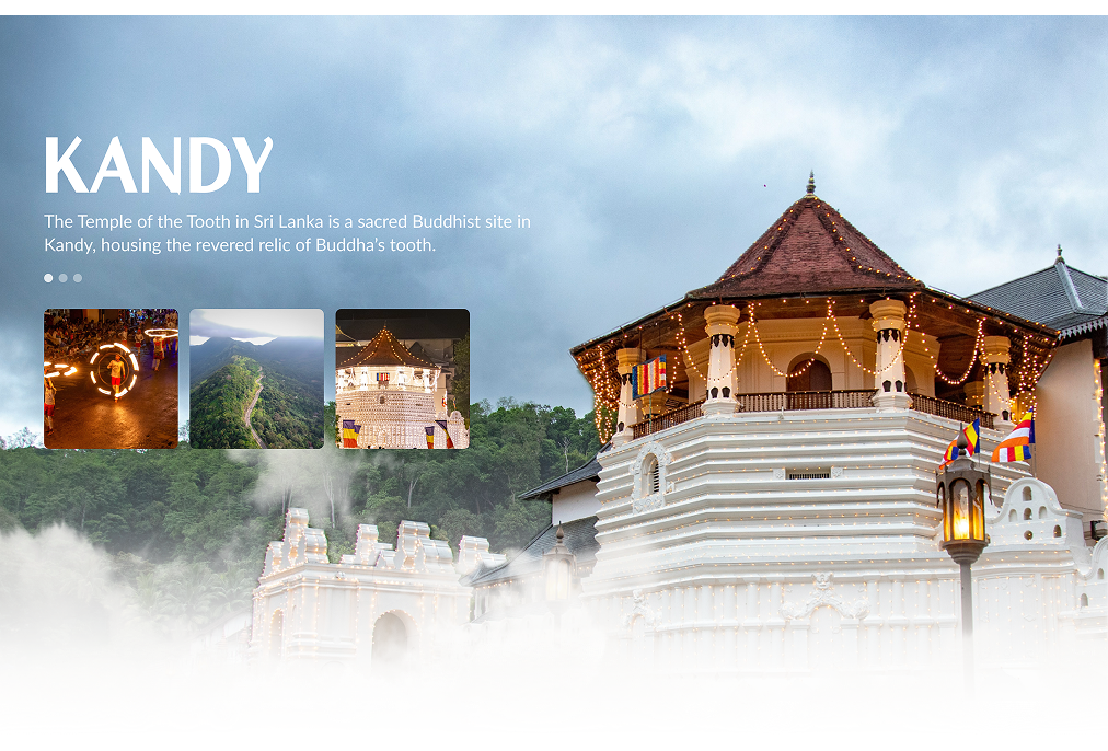 Ashen Ravisara Portfolio